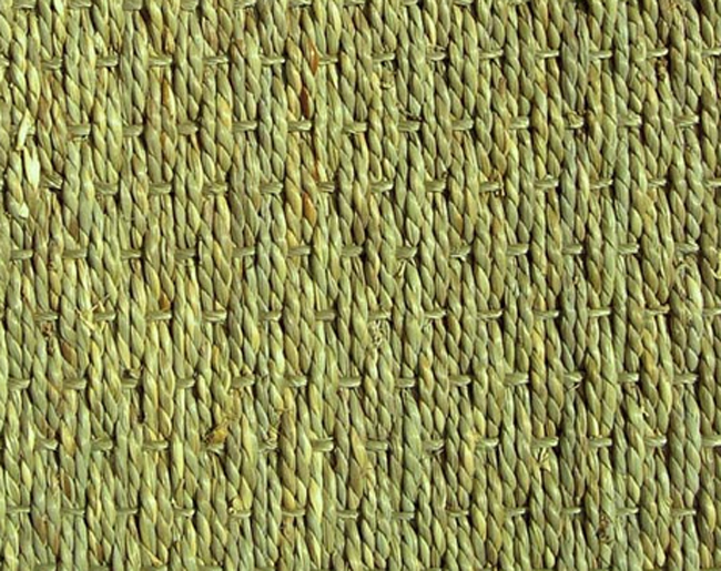 Le jonc de mer : avantage, inconvénient, comment poser ce revêtement